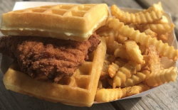 Home [www.southcherokeebaseball.com]